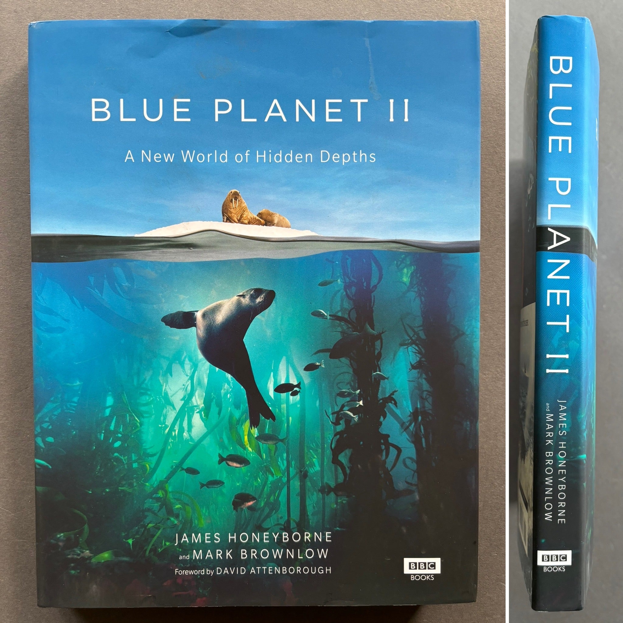Buy Blue Planet II Book Signed By David Attenborough Online Bookshop Buy Blue Planet II Book Signed By David Attenborough Online Bookshop