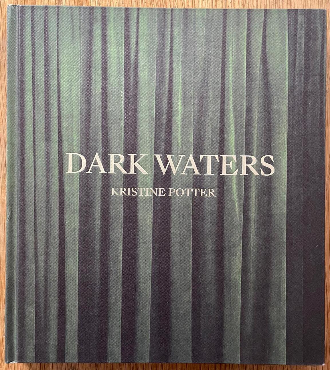 Buy Dark Waters by Kristine Potter Online – Setanta Books