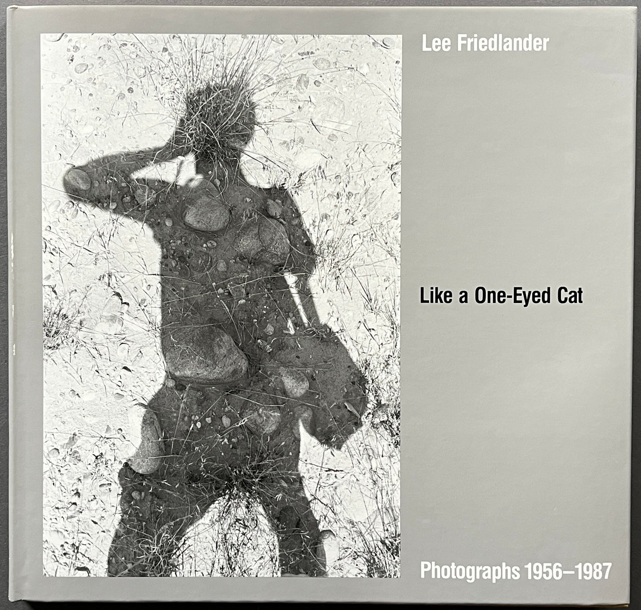 Lee Friedlander – Setanta Books