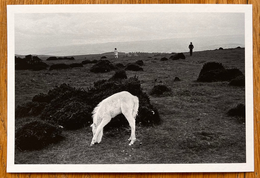 Buy Photographs 1955-2020 by David Hurn Online – Setanta Books