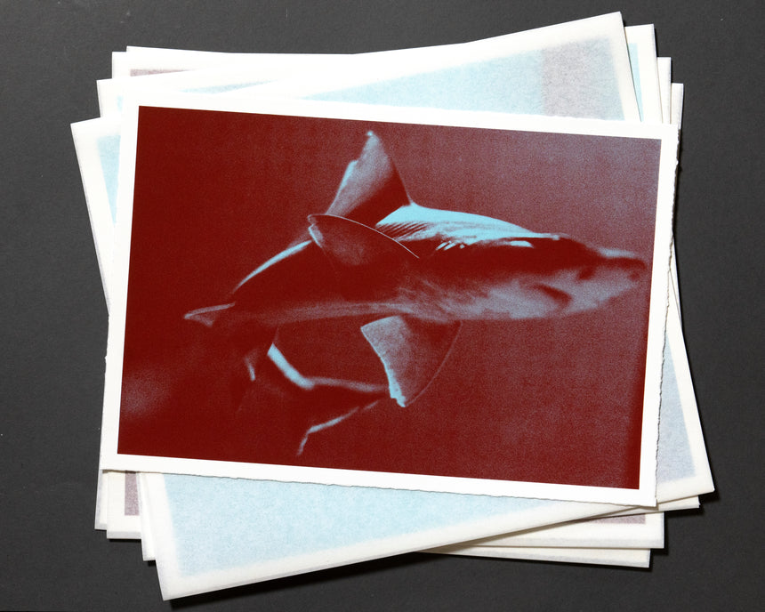 Buy Menstruation Myths Portfolio Box by Laia Abril Online – Setanta Books