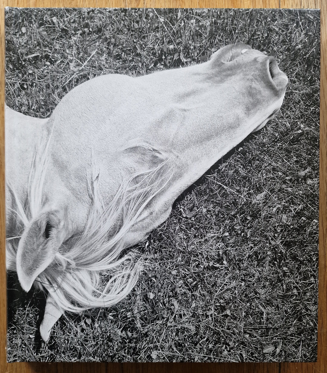 Mimi Plumb | Photographer | Setanta Books | Buy books and prints