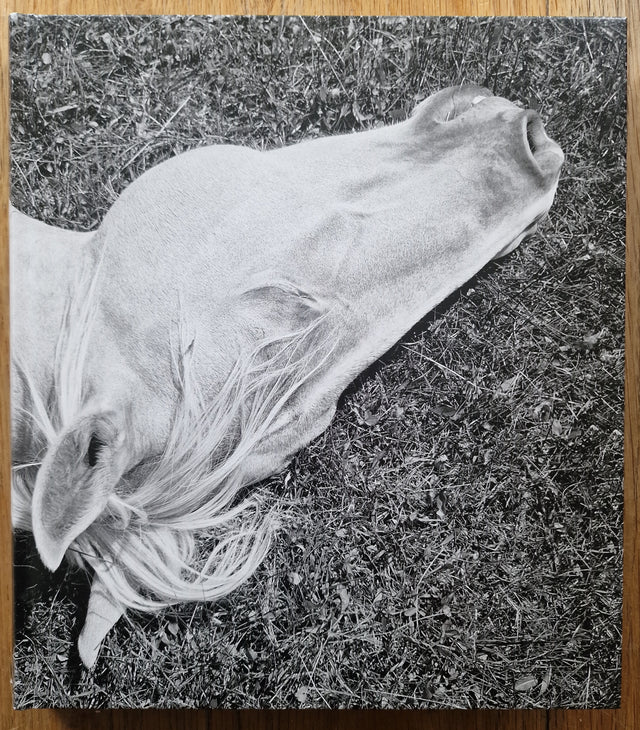 Mimi Plumb | Photographer | Setanta Books | Buy books and prints