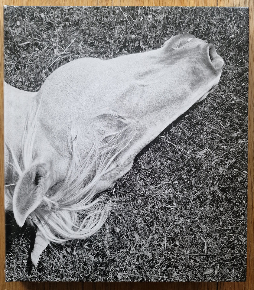 Mimi Plumb | Photographer | Setanta Books | Buy books and prints