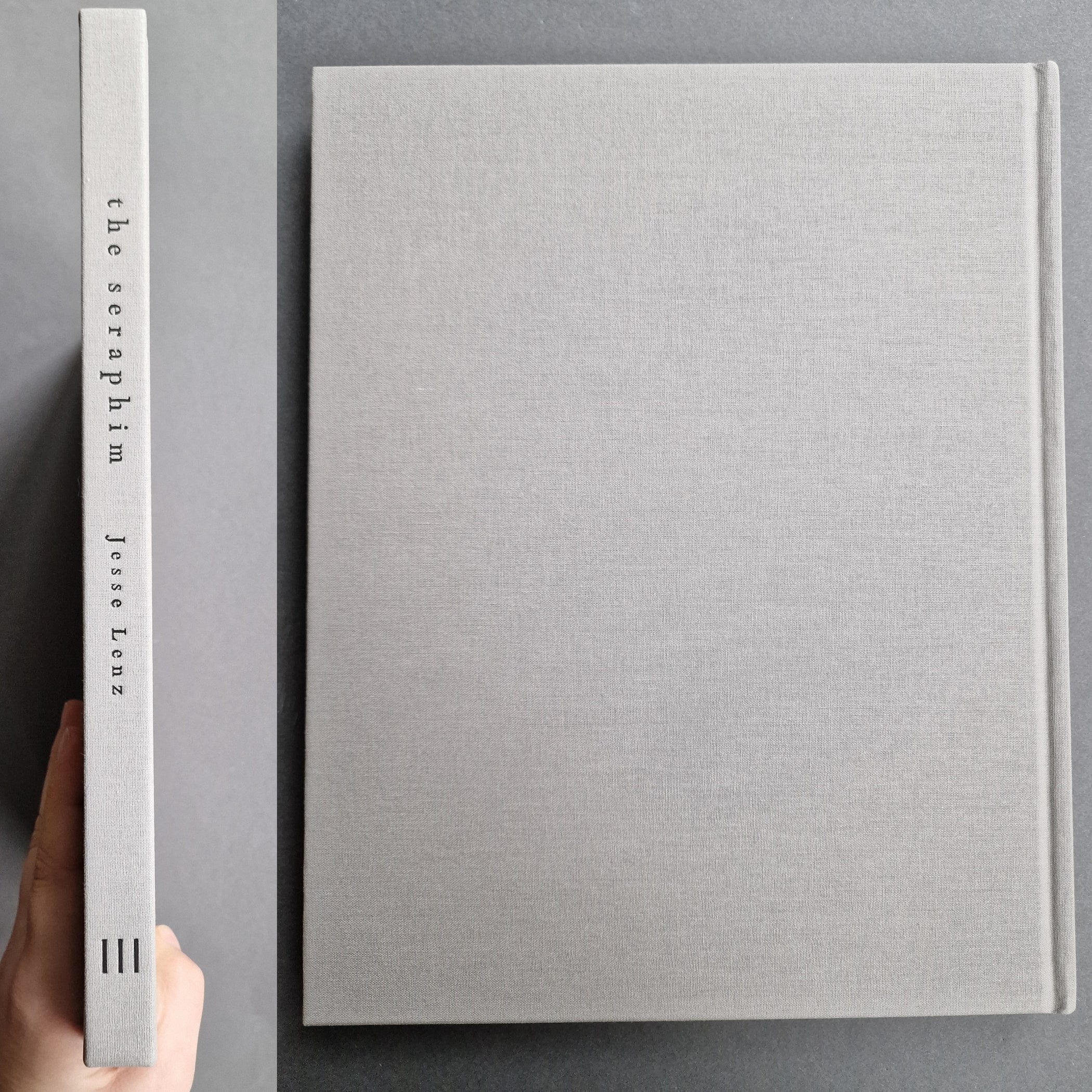 Buy The Seraphim by Jesse Lenz Online – Setanta Books