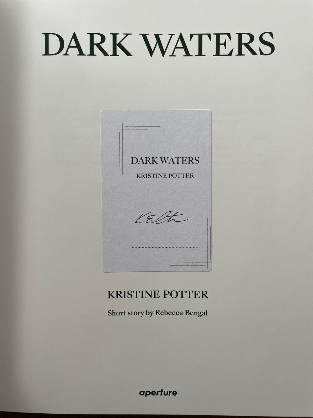 Buy Dark Waters by Kristine Potter Online – Setanta Books