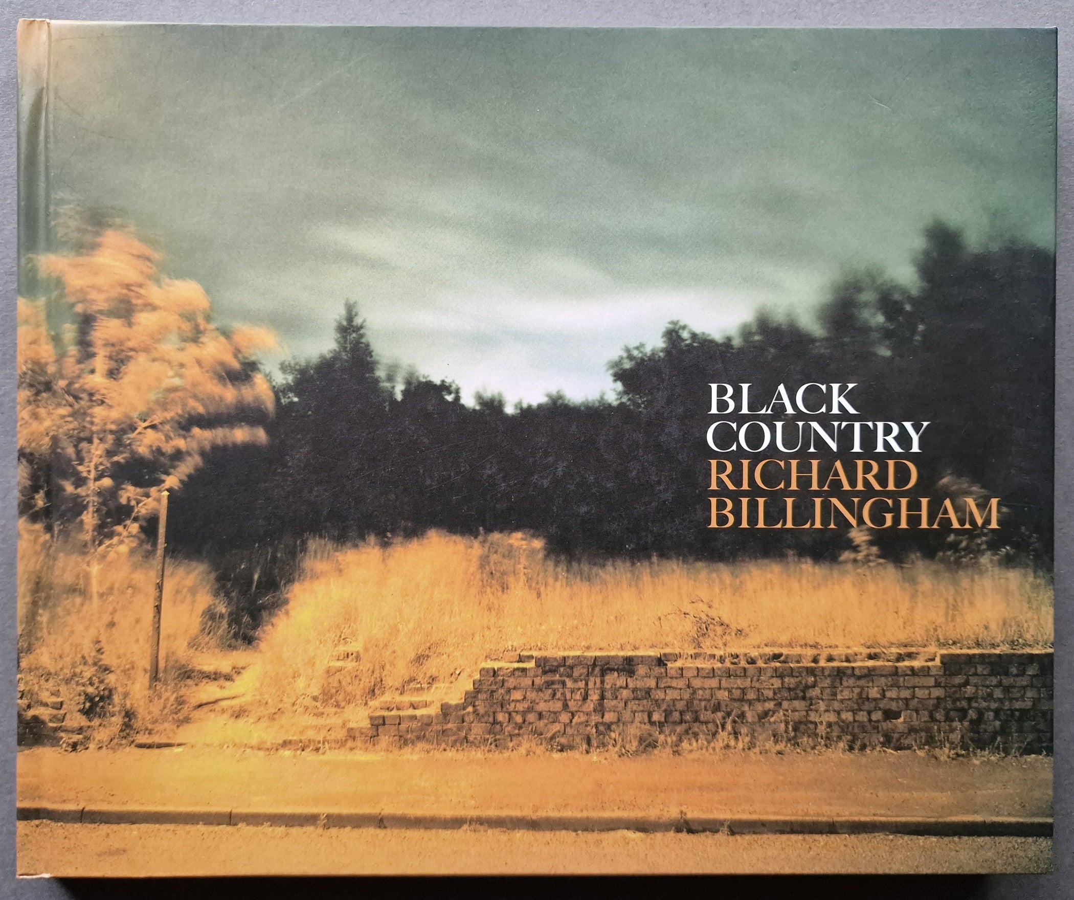 Buy books and prints by Richard Billingham online – Setanta Books