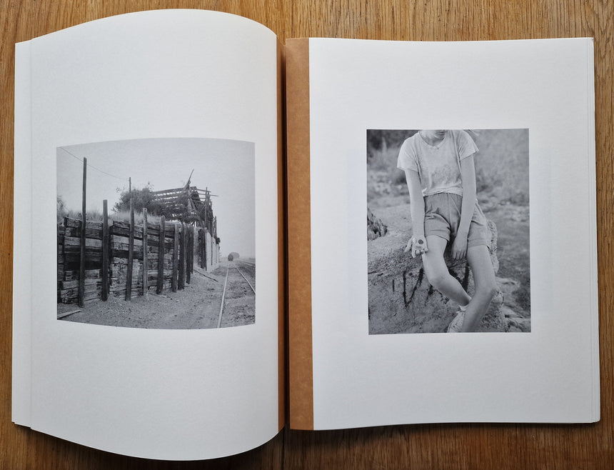 Buy Mother of Dogs by Matthew Genitempo Online – Setanta Books