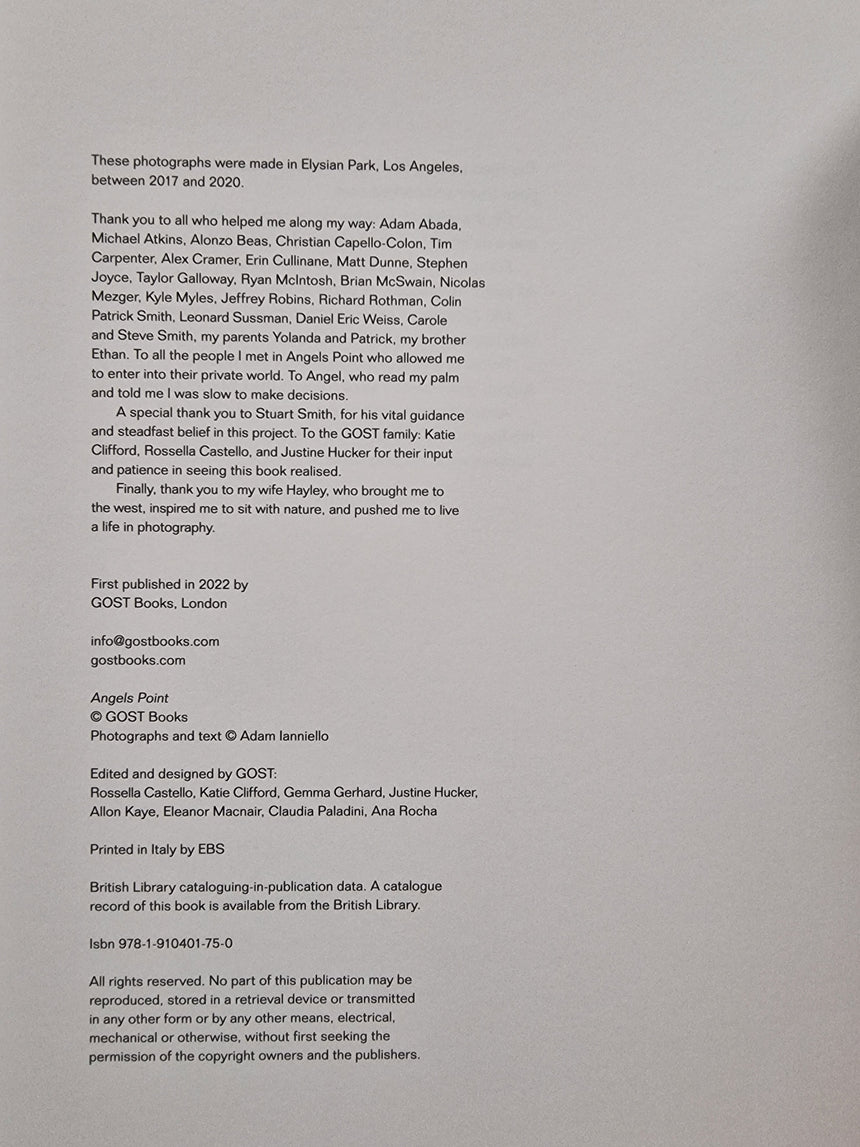 Buy Angels Point by Adam Ianniello Online – Setanta Books