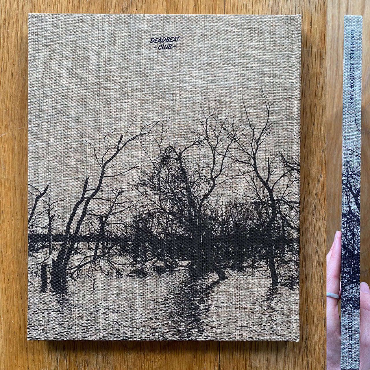Buy Meadowlark by Ian Bates online – Setanta Books