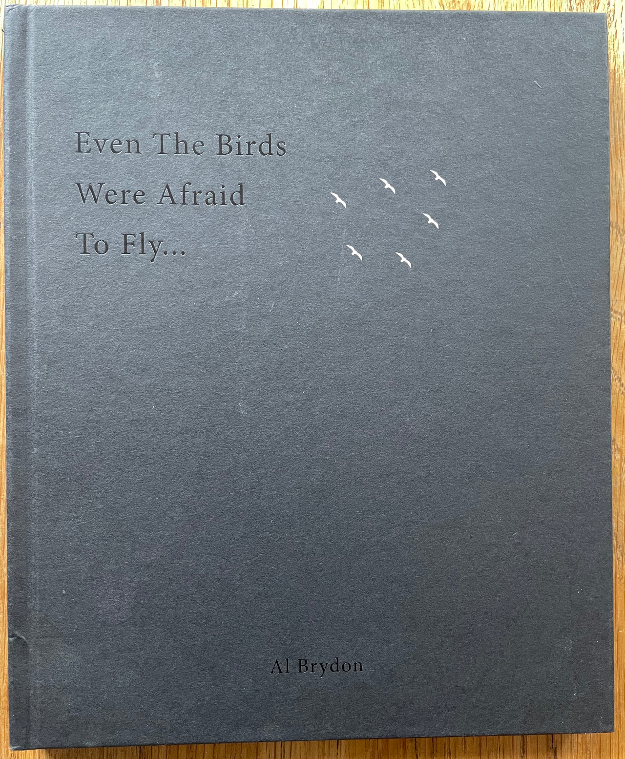 Buy Even the Birds were afraid to fly by Al Brydon online – Setanta Books