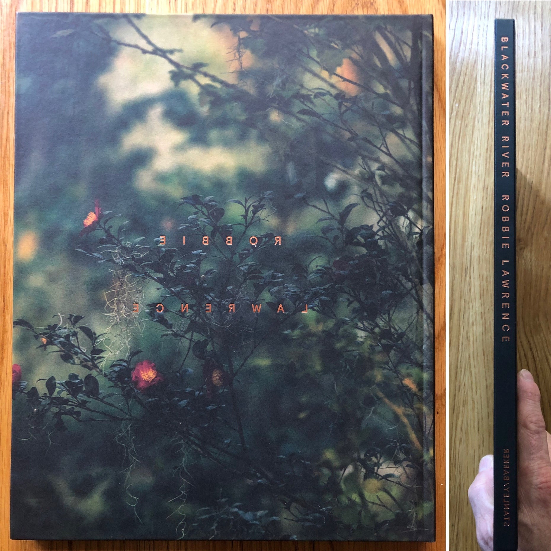 Buy Blackwater River by Robbie Lawrence Online – Setanta Books