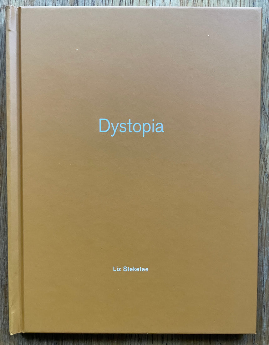 Buy Dystopia (One Picture Book) Liz Steketee with print Nazraeli ...