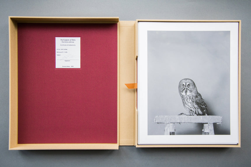 Buy Parliament of Owls Portfolio Box by Jack Latham Online – Setanta Books