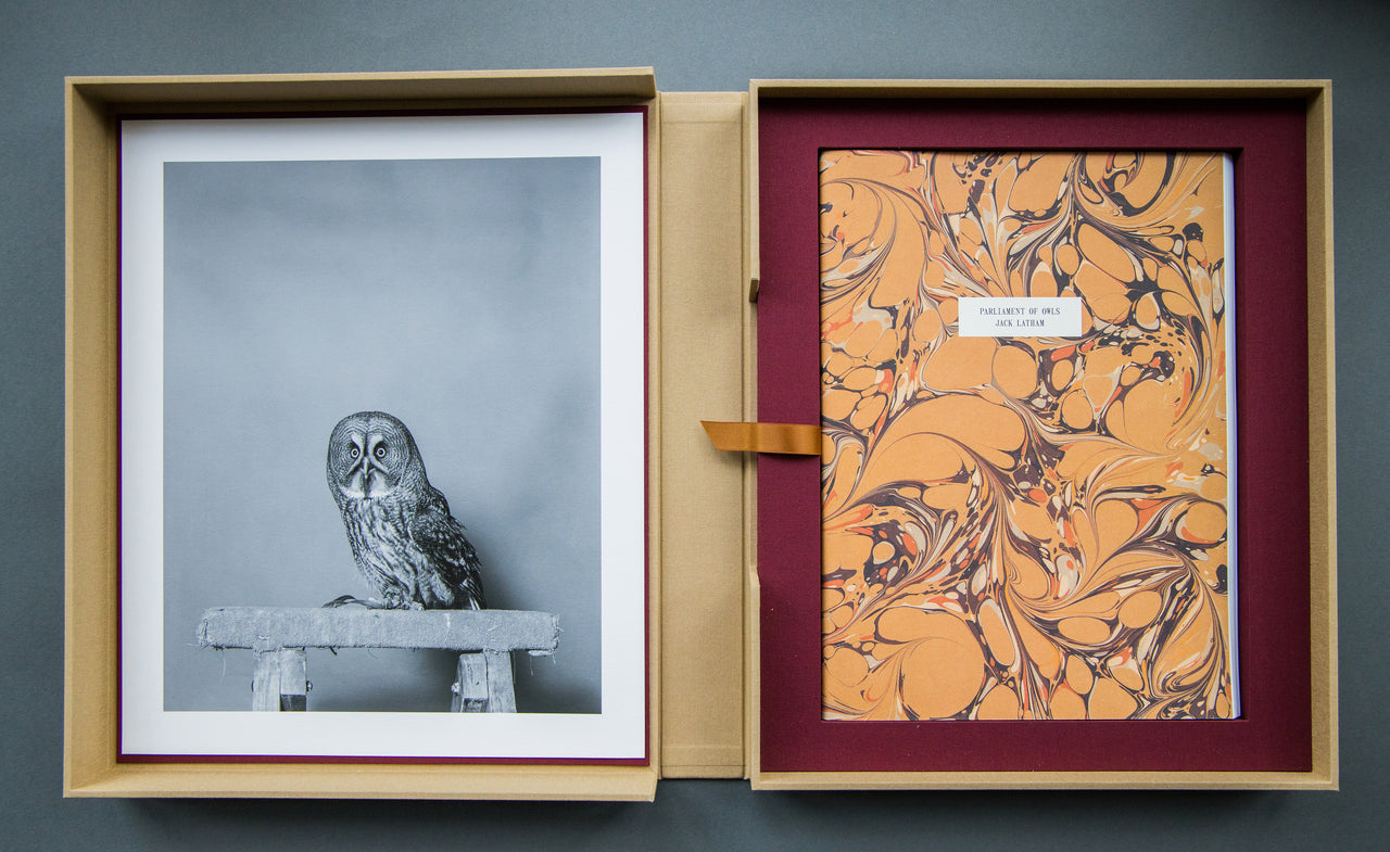 Buy Parliament of Owls Portfolio Box by Jack Latham Online – Setanta Books