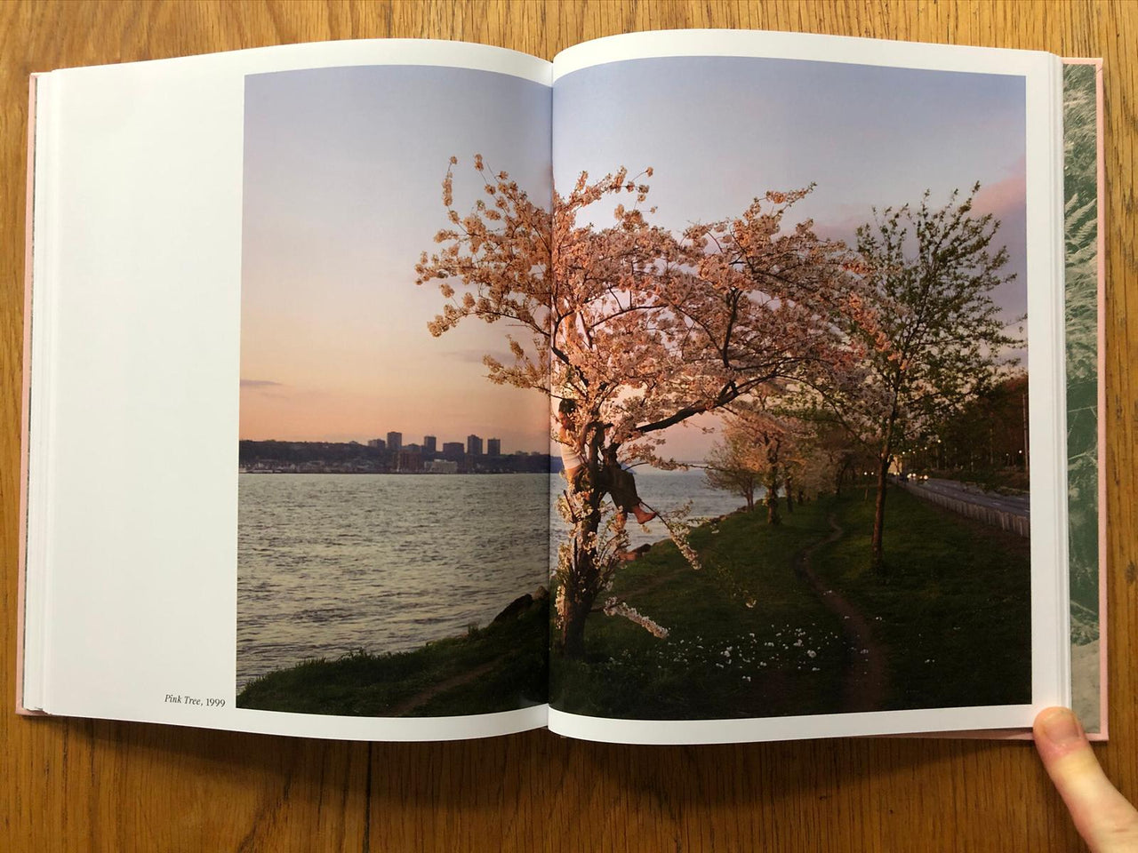 Buy Girl Pictures by Justine Kurland Online – Setanta Books