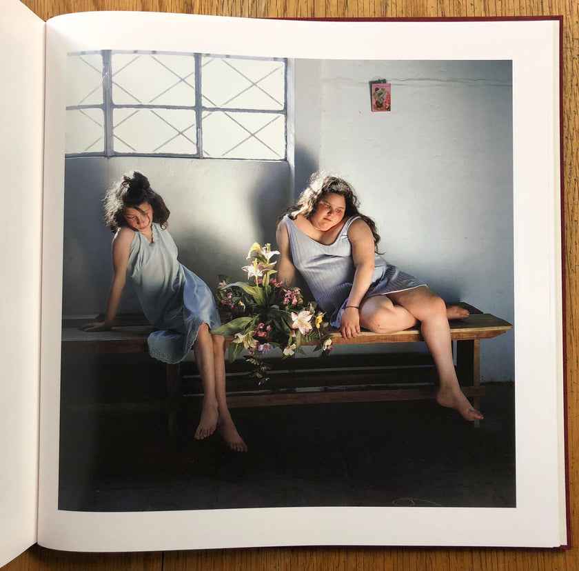 Buy The Adventures of Guille and Belinda and The Enigmatic Meaning of Their Dreams 1st Mack ...