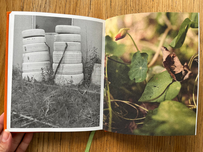 Buy Whistling for Owls by Max Ferguson photography book online ...