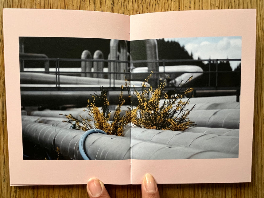 Buy Still Looking Good signed by Alice Connew photography book online ...