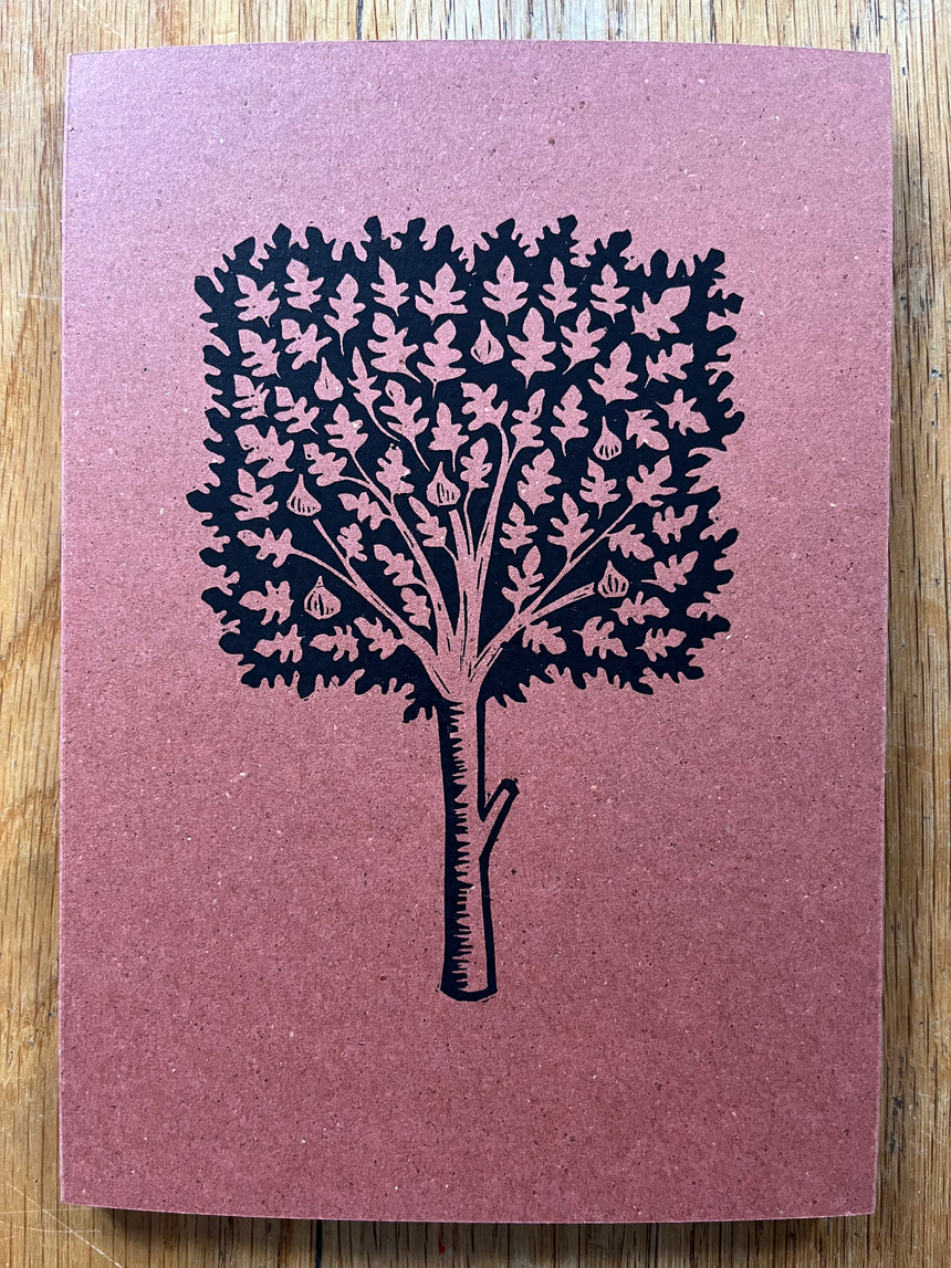 Buy The Planting of a Fig Tree by Chris Neophytou signed online book ...
