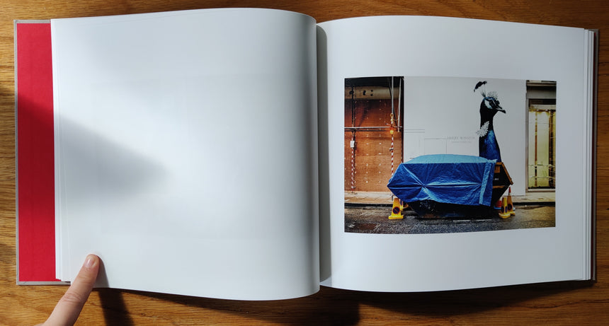 Buy All That Life Can Afford by Matt Stuart online – Setanta Books