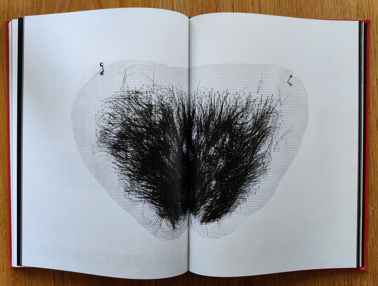 Buy On Rape: And Institutional Failure by Laia Abril Online signed book – Setanta Books