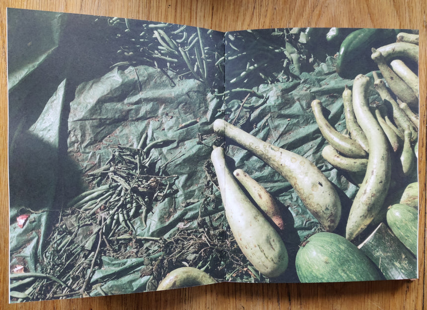 Buy Al Atlas by Tanguy Sergheraert Online – Setanta Books