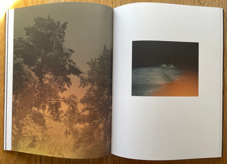 Buy Elf Dalia by Maja Daniels Online – Setanta Books