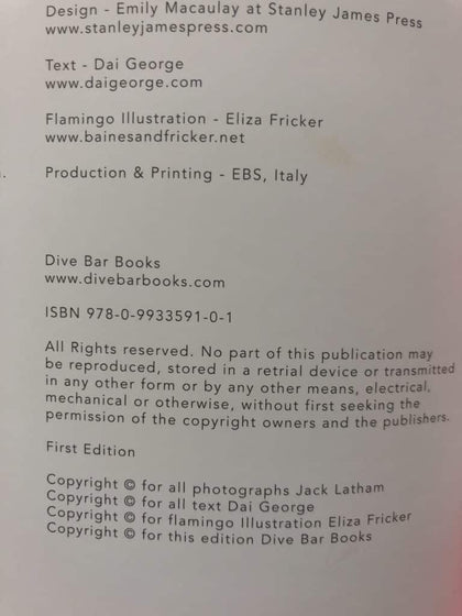 Buy A Pink Flamingo Limited Edition Print 2 by Jack Latham signed online – Setanta Books