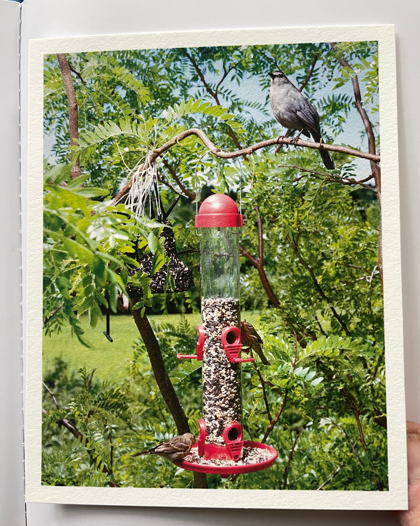 Buy Sustenaince (One Picture Book) Neeta Madahar nazraeli with print ...