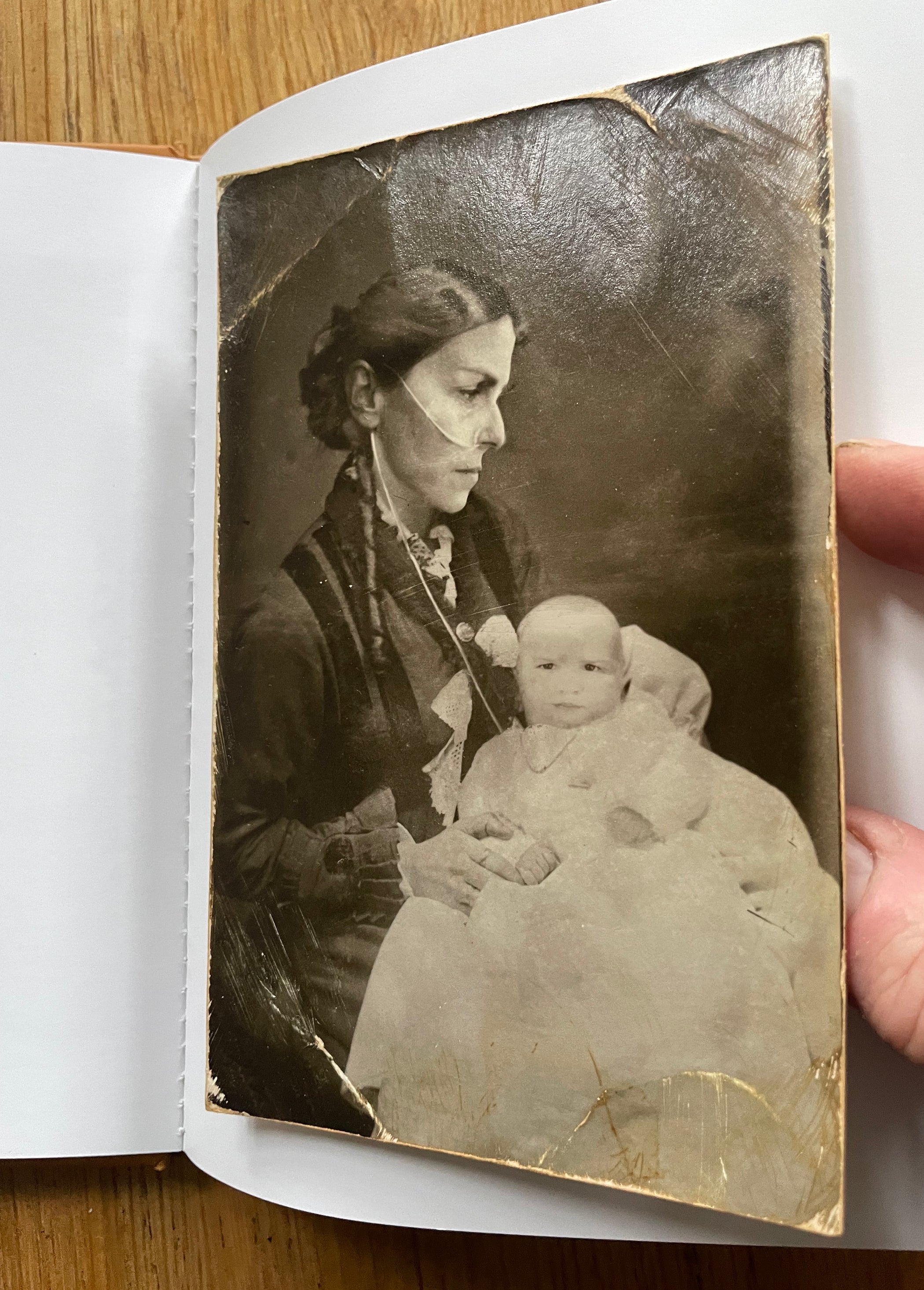 Buy Dystopia (One Picture Book) Liz Steketee with print Nazraeli ...