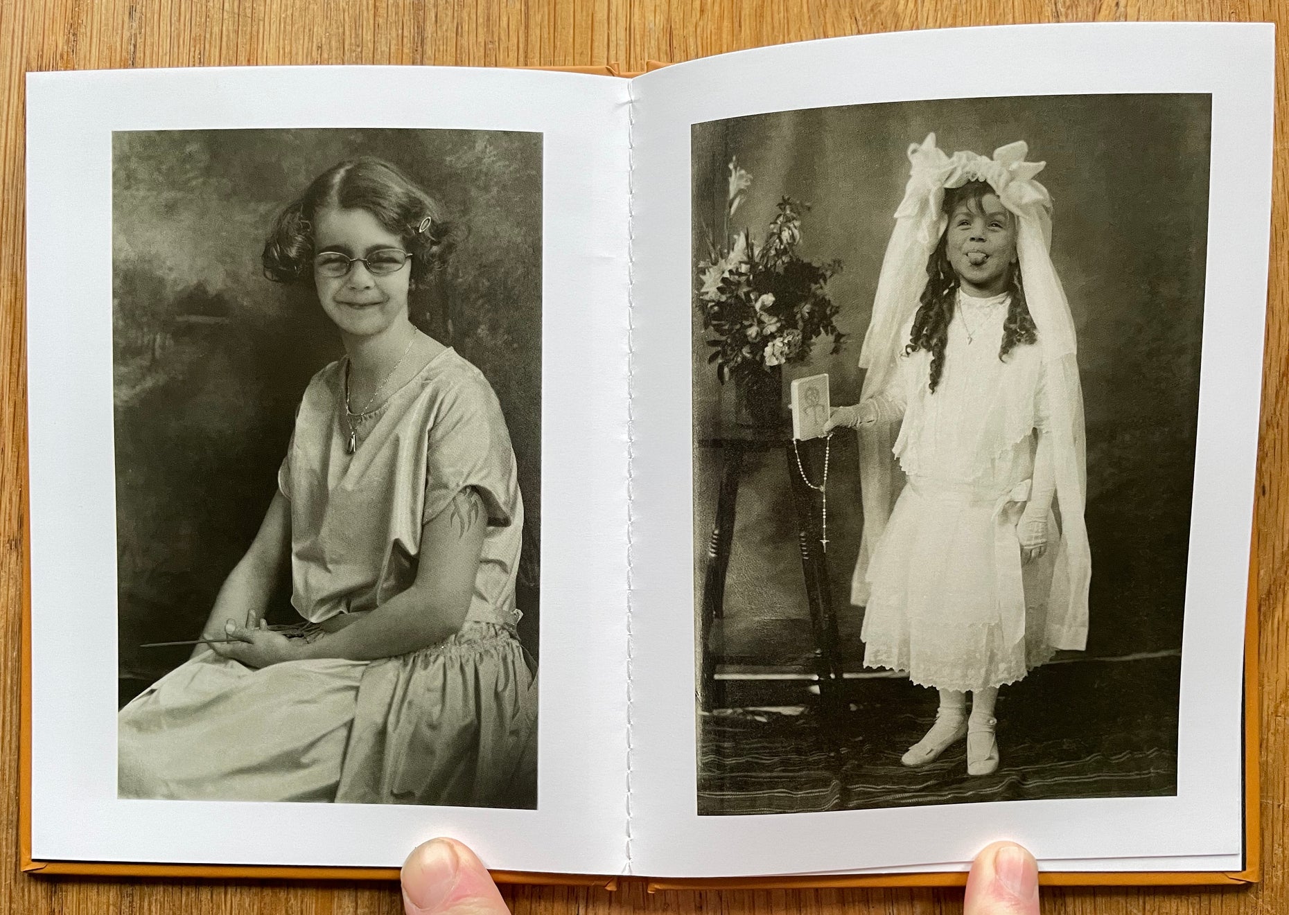 Buy Dystopia (One Picture Book) Liz Steketee with print Nazraeli ...