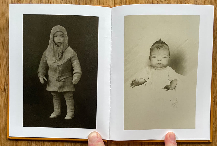 Buy Dystopia (One Picture Book) Liz Steketee with print Nazraeli ...