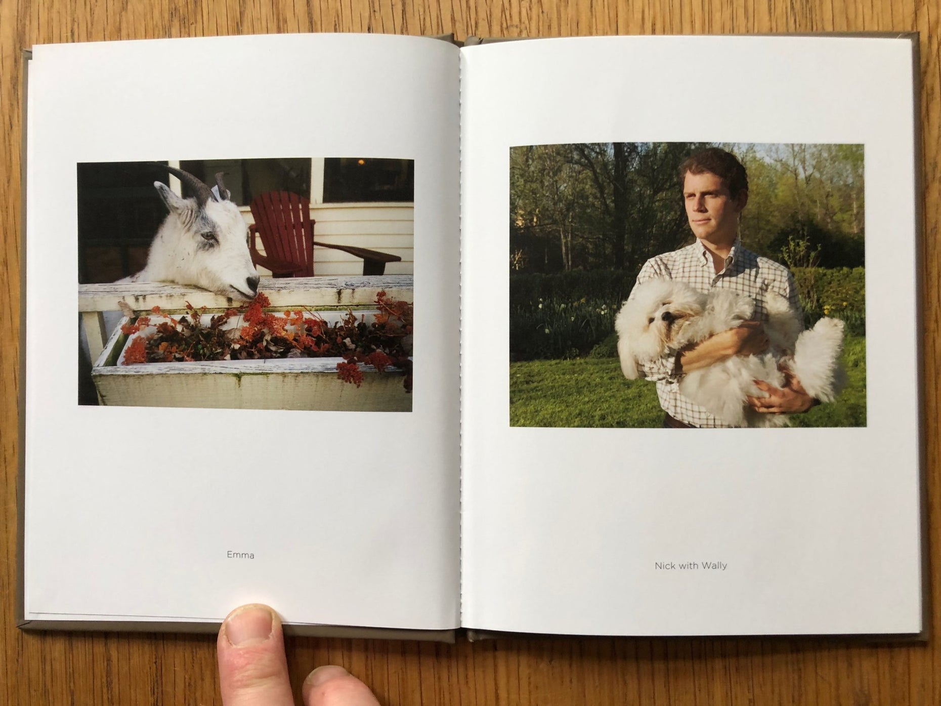 Buy Pet Pictures (One Picture Book) by Stephen Shore with signed print ...
