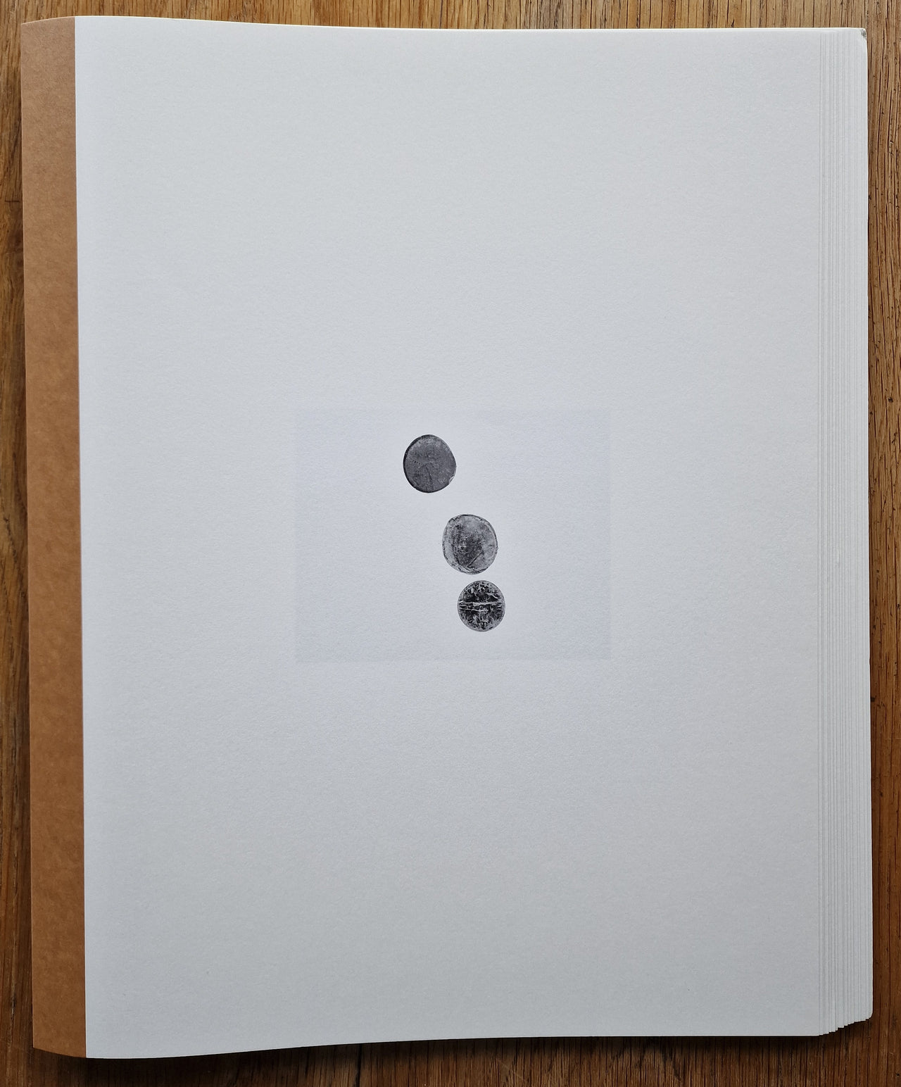 Buy Mother of Dogs by Matthew Genitempo Online – Setanta Books