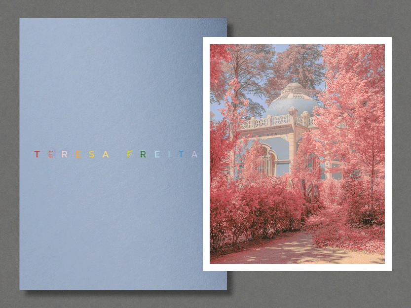 Teresa Freitas – Setanta Books