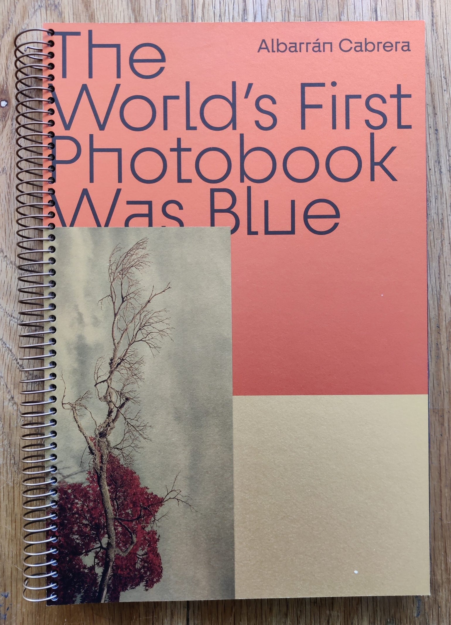 Buy The World's First Photobook Was Blue by Albarran Cabrera Online ...