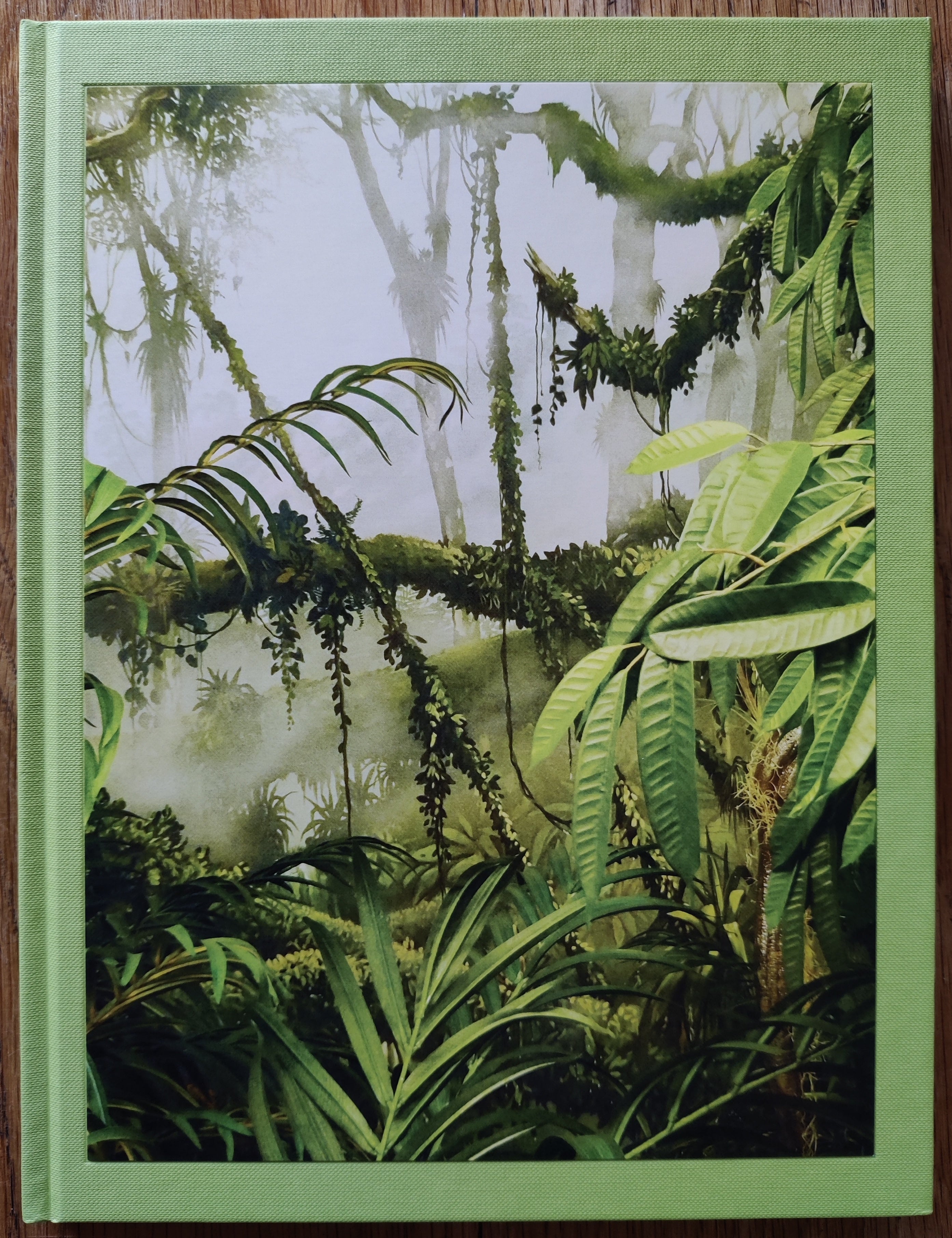 Buy Supernatura (Supernature) by Annamaria Belloni Online – Setanta Books